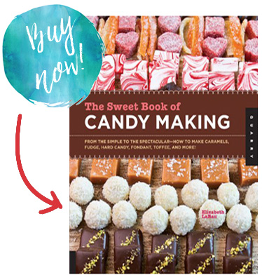 The Sweet Book of Candy Making by Elizabeth LaBau