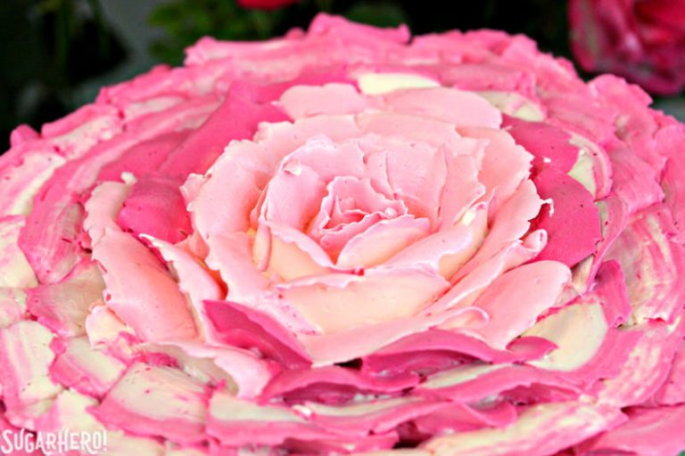 Giant Rose Cake - SugarHero