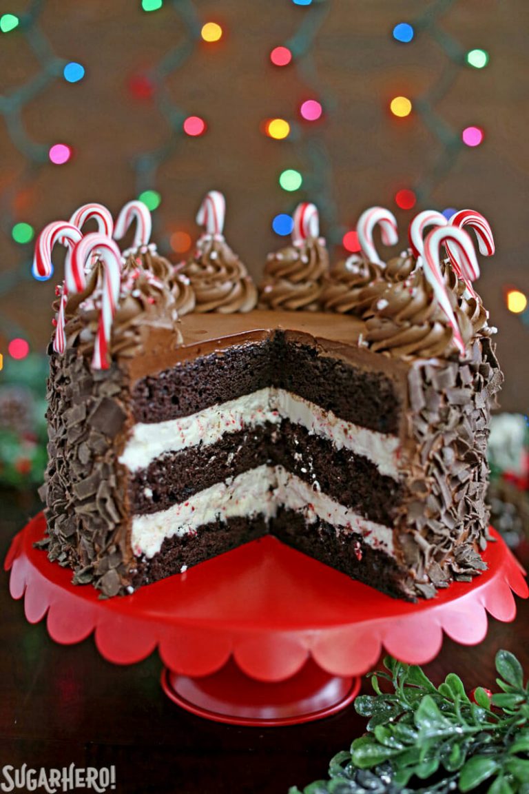 Chocolate Candy Cane Cake - SugarHero