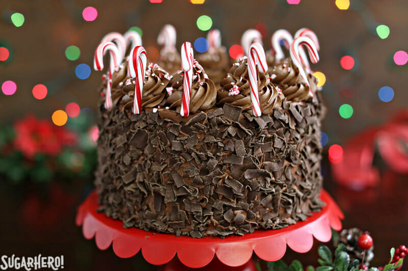 Chocolate Candy Cane Cake - SugarHero