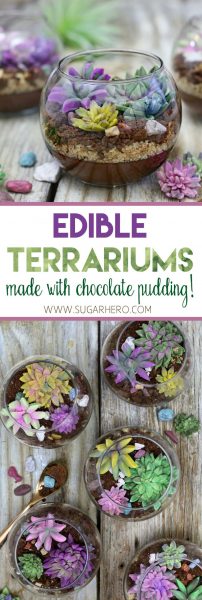 Edible Terrariums - SugarHero