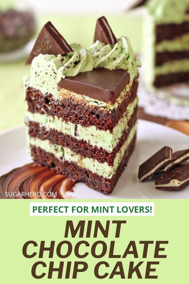 Mint Chocolate Chip Layer Cake - SugarHero