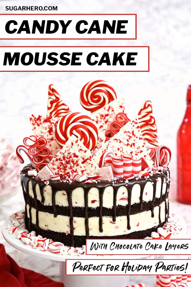 Candy Cane Mousse Cake - SugarHero