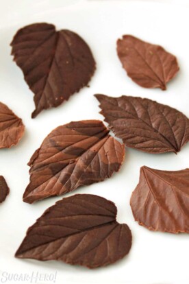 How to Make Chocolate Leaves - SugarHero