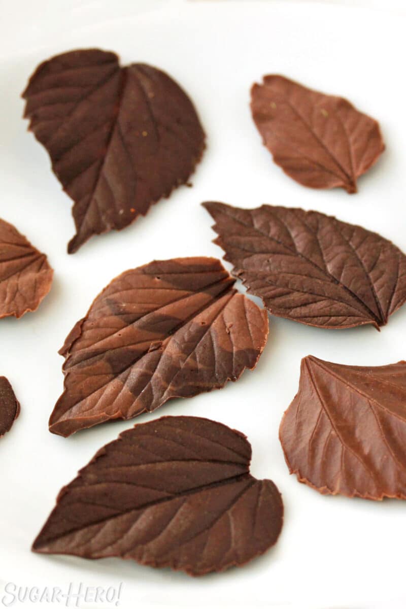 How to Make Chocolate Leaves - SugarHero