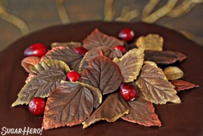 How to Make Chocolate Leaves - SugarHero