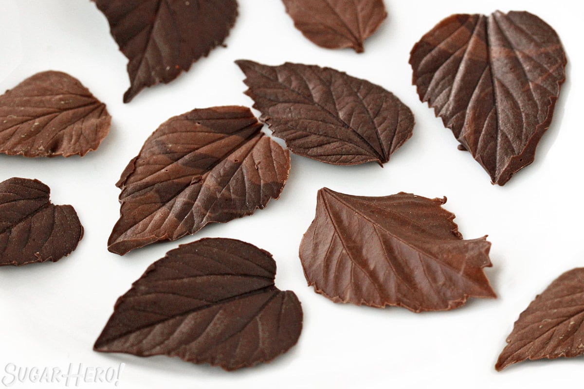 How to Make Chocolate Leaves - SugarHero