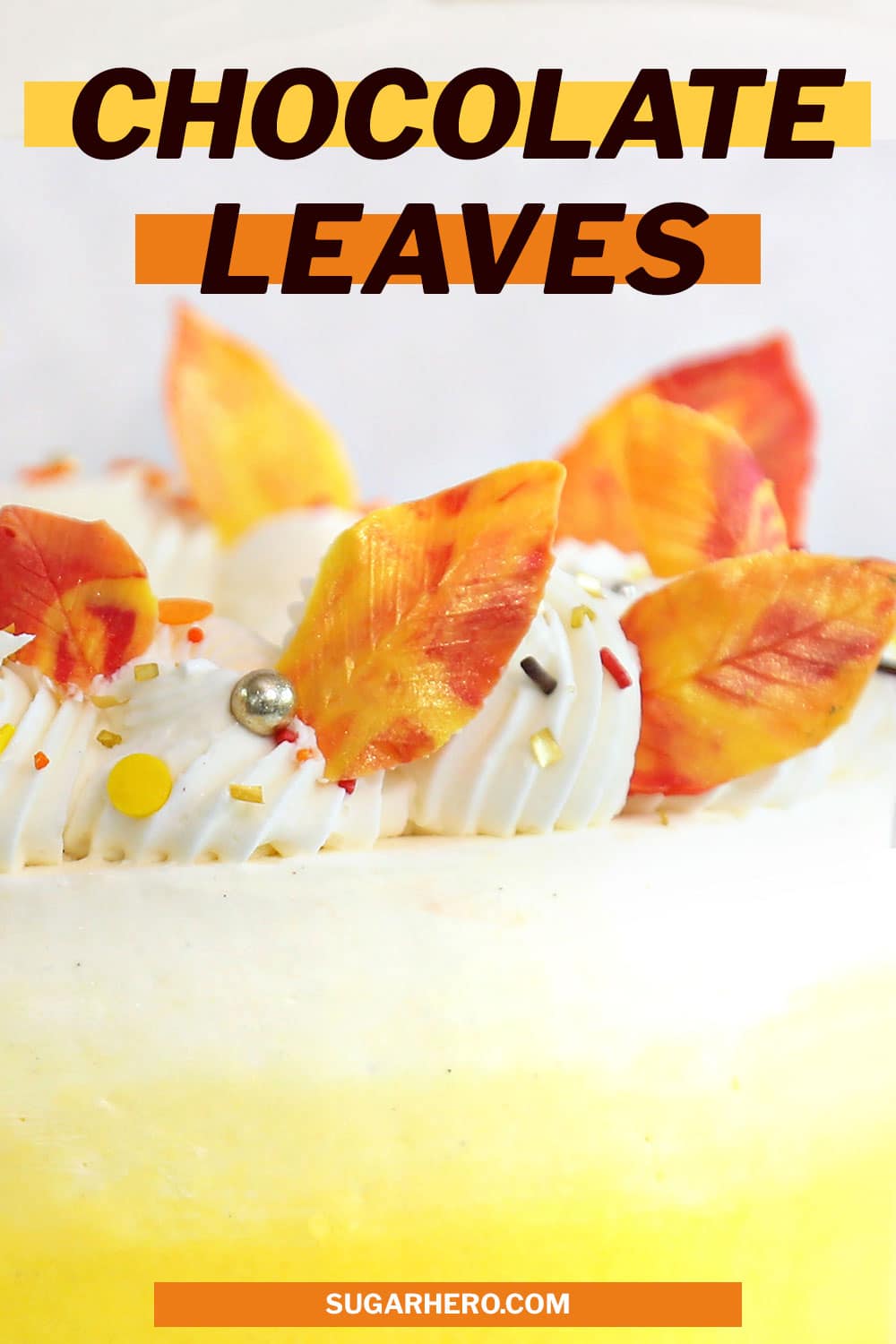 How to Make Chocolate Leaves - SugarHero