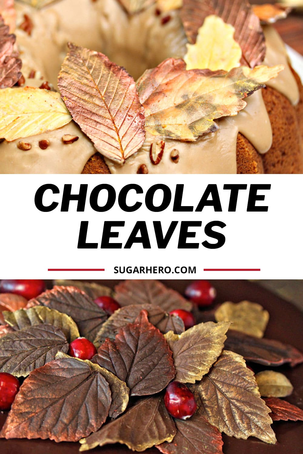 How to Make Chocolate Leaves - SugarHero