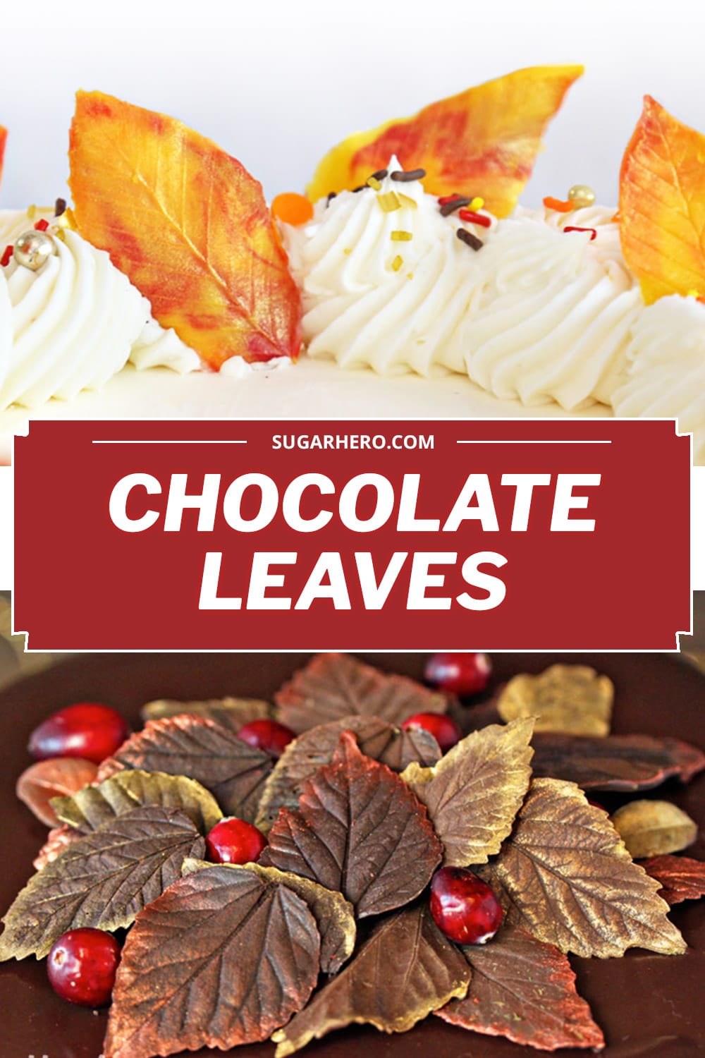How to Make Chocolate Leaves - SugarHero