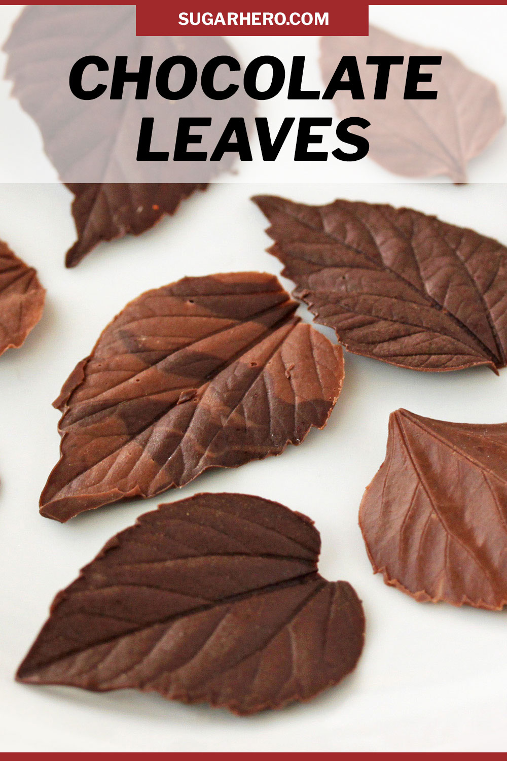 How to Make Chocolate Leaves - SugarHero