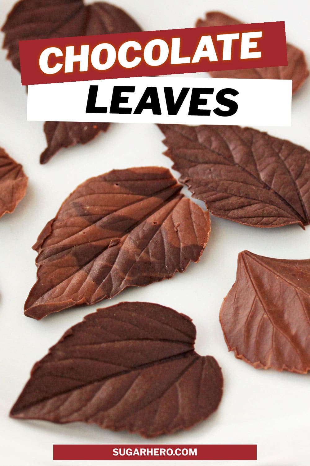 How to Make Chocolate Leaves - SugarHero