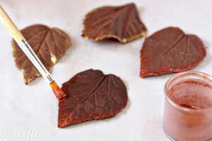 How to Make Chocolate Leaves - SugarHero