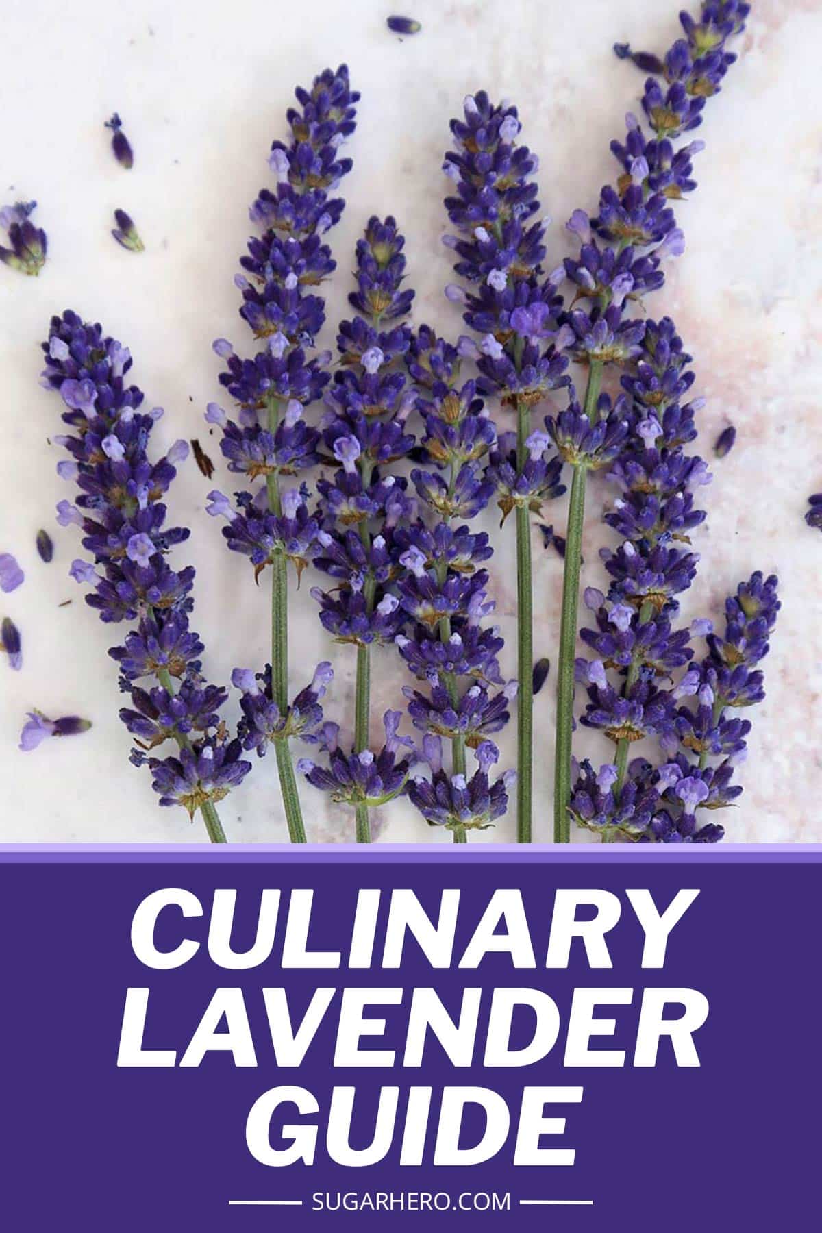 Baking with Lavender: All About Culinary Lavender - SugarHero