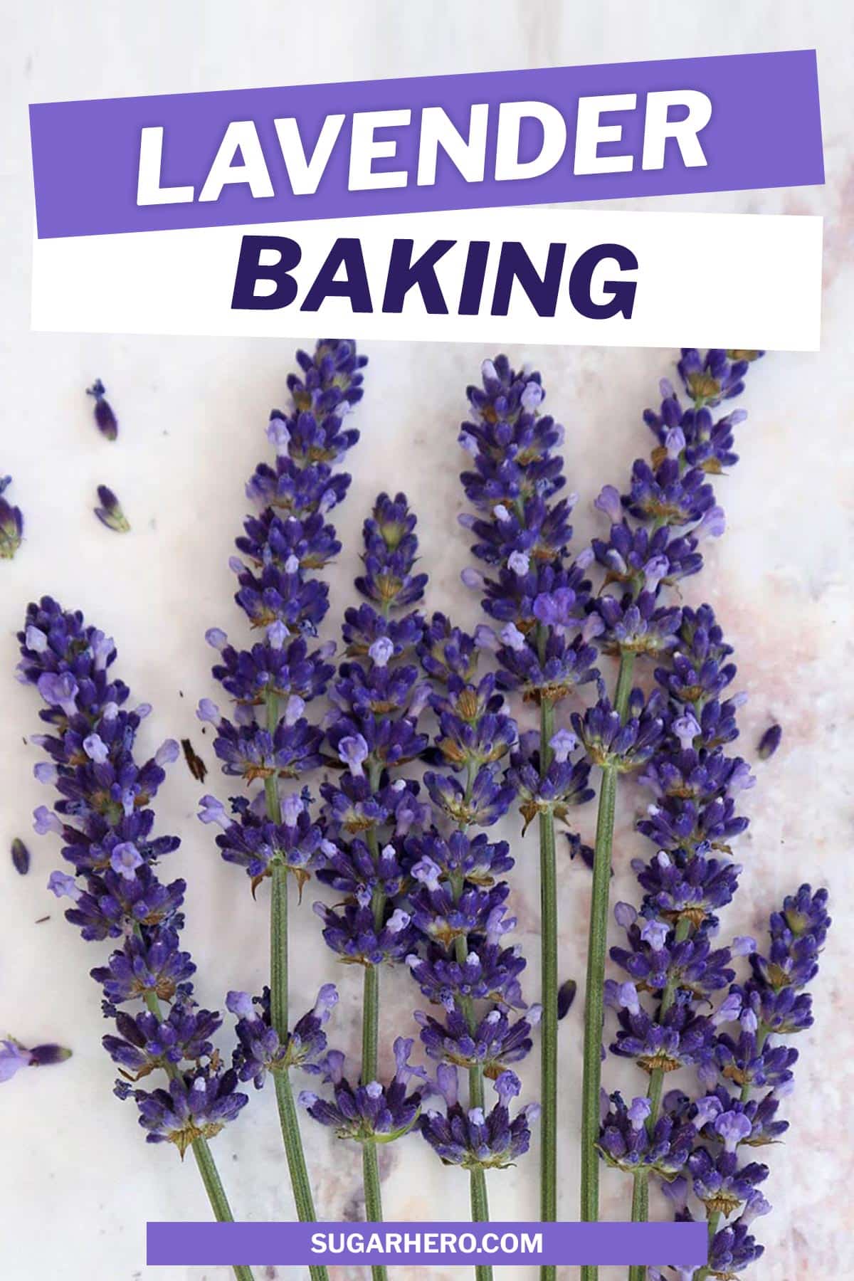 Baking with Lavender: All About Culinary Lavender - SugarHero