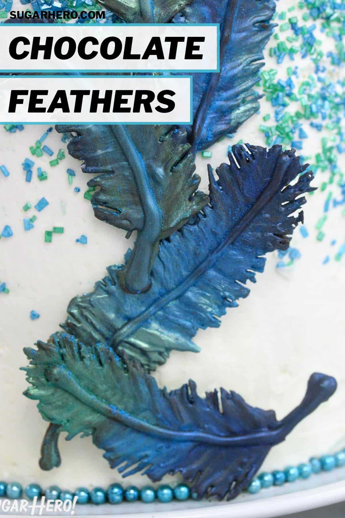 Chocolate Feathers - SugarHero