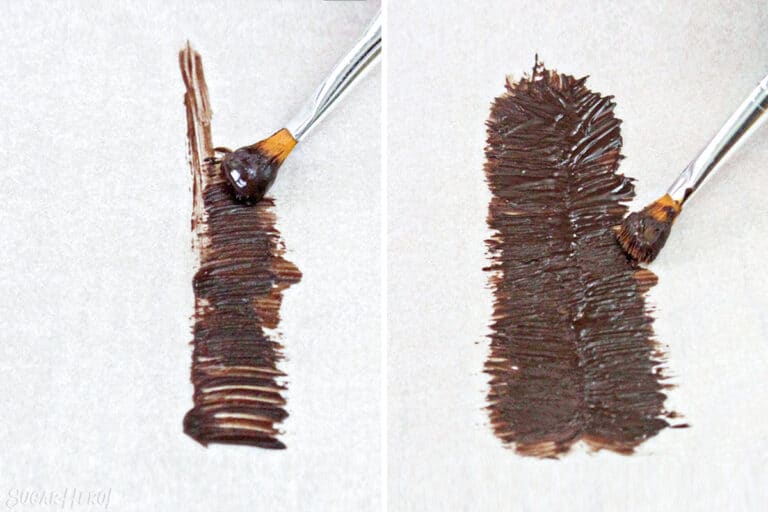 Chocolate Feathers - SugarHero