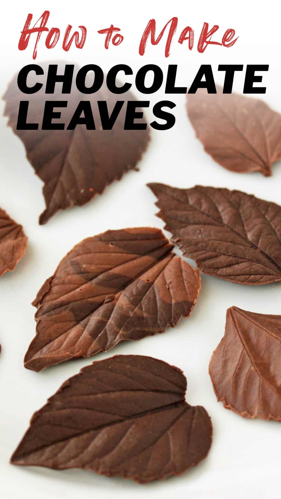 How to Make Chocolate Leaves - SugarHero