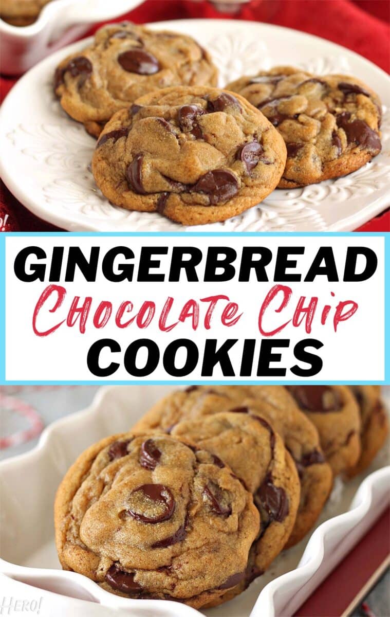 Gingerbread Chocolate Chip Cookies - SugarHero