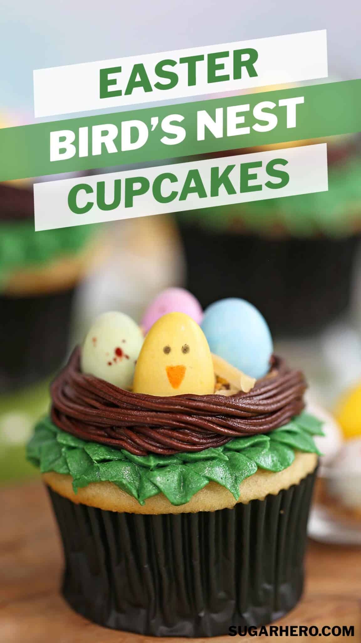Bird's Nest Cupcakes - SugarHero